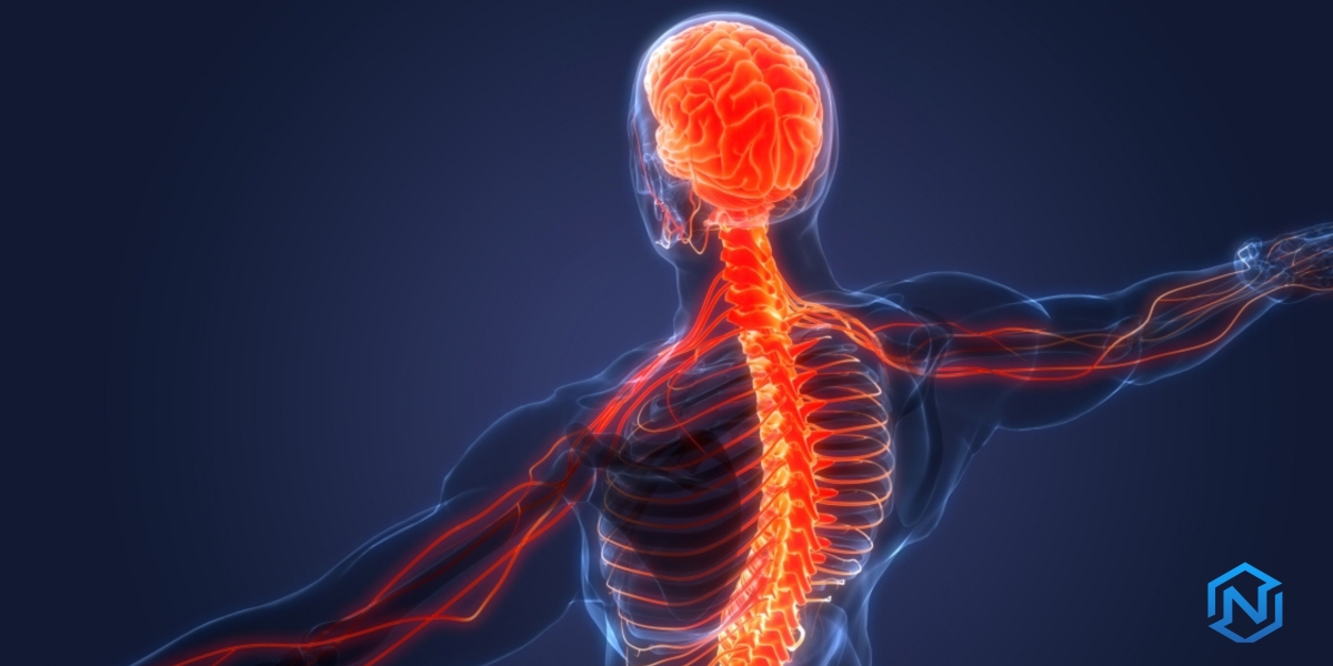 Glutamate - a neurotransmitter with a good and a bad side