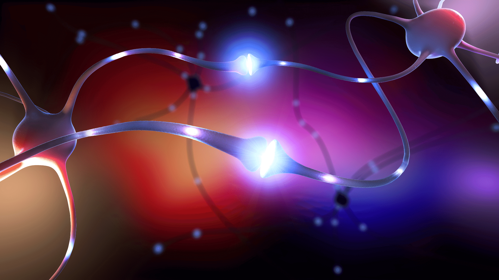What Are The 7 Major Neurotransmitters To Target With Nootropics?