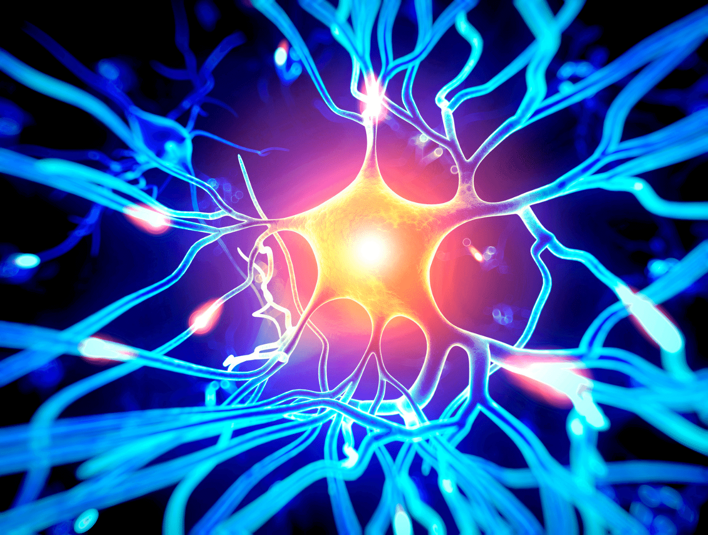 Neuroplasticity Supplements, Herbs, and Nootropics - Nootopia Blog
